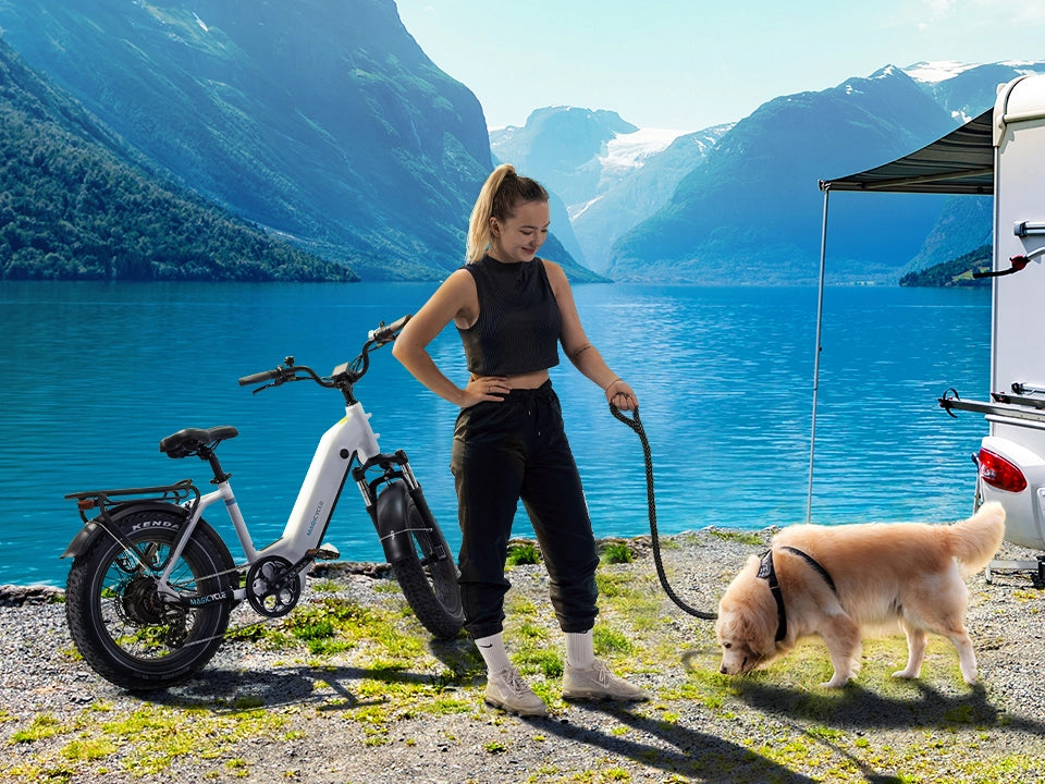 Ocelot Pro Long Range Step-Thru Fat Tire Electric Bike - Pearl White ...